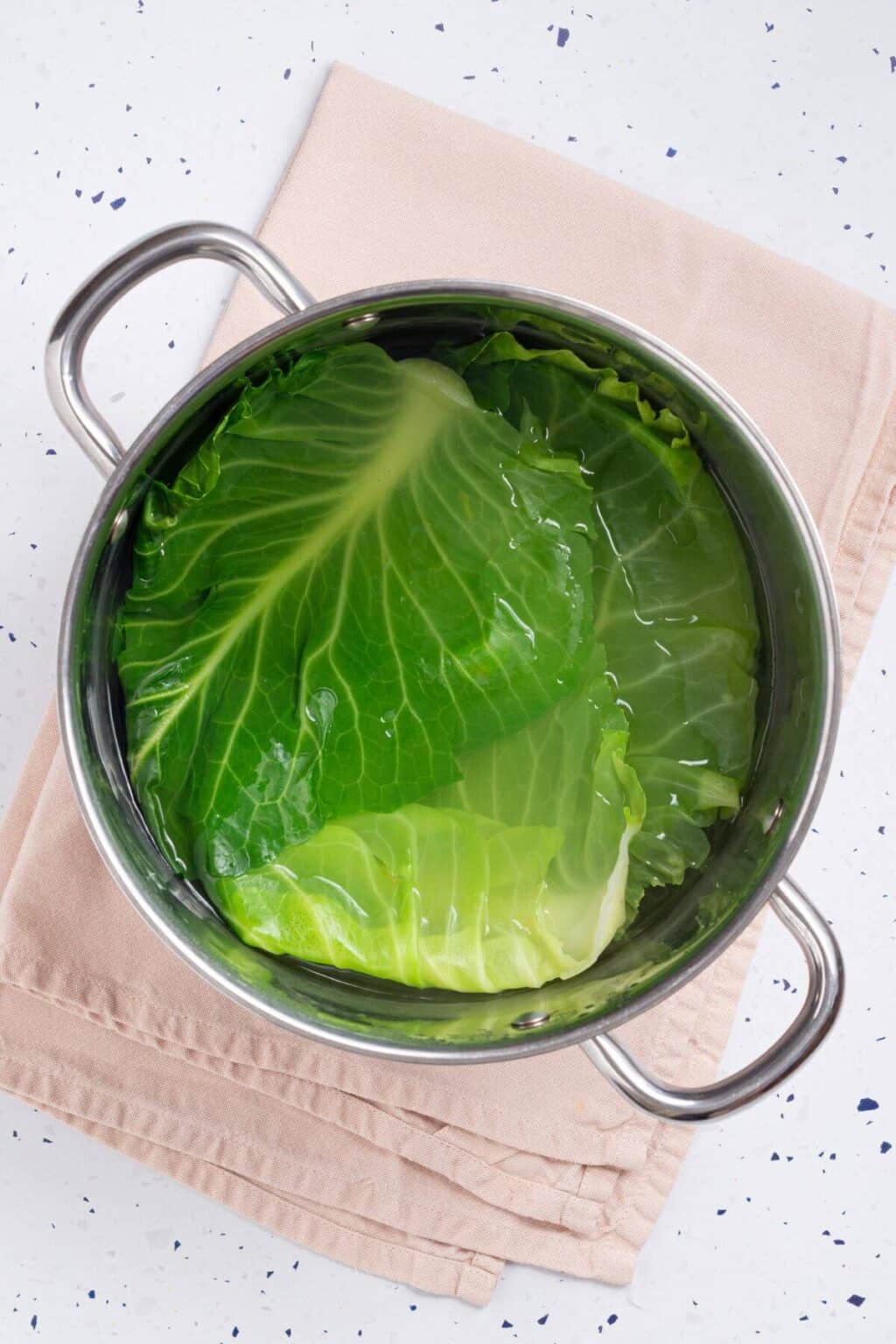 Polish Golumpki Stuffed Cabbage Rolls | Little Bit Recipes