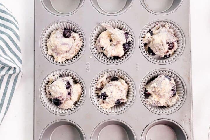 Small Batch Blueberry Muffins | Little Bit Recipes
