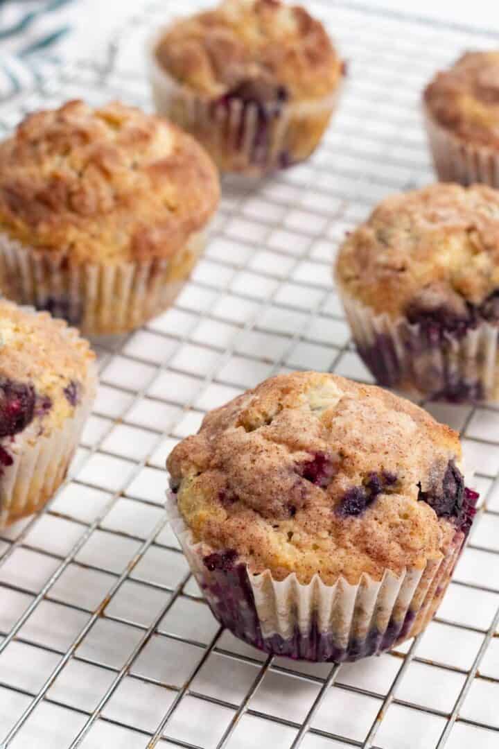 Small Batch Blueberry Muffins | Little Bit Recipes