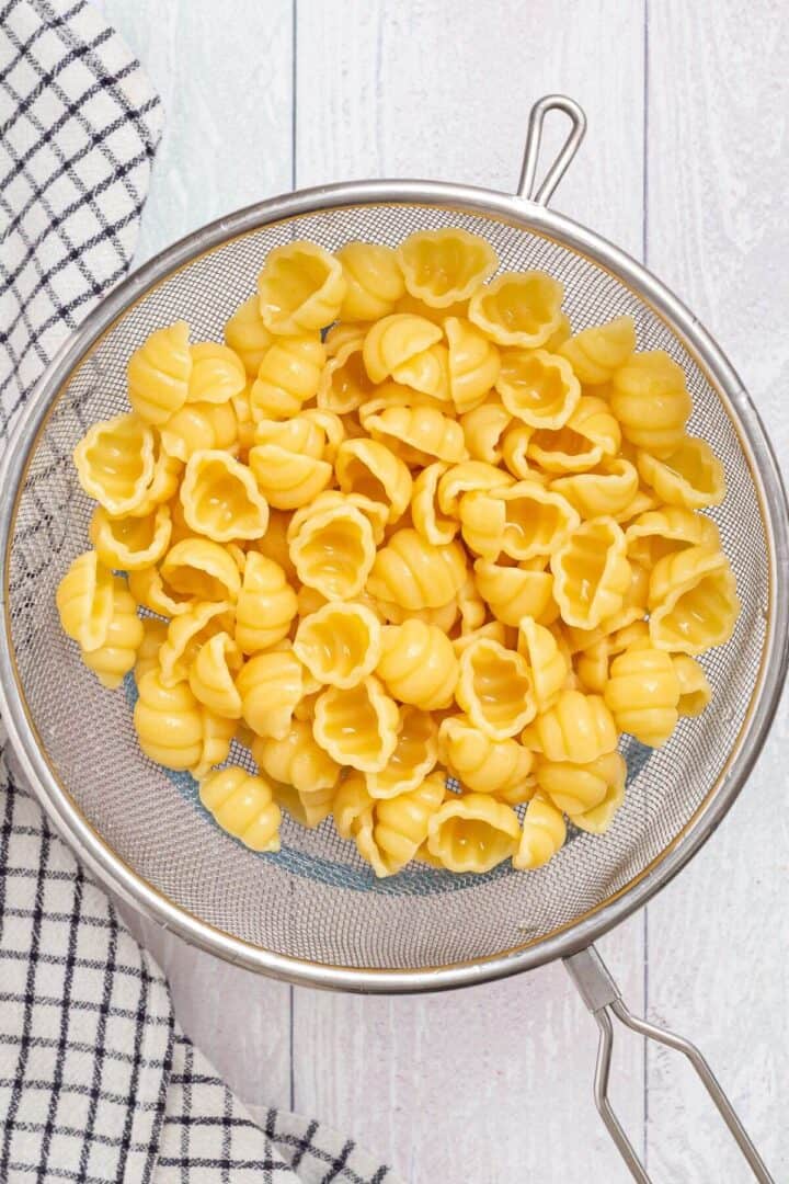Seafood Pasta Salad | Little Bit Recipes