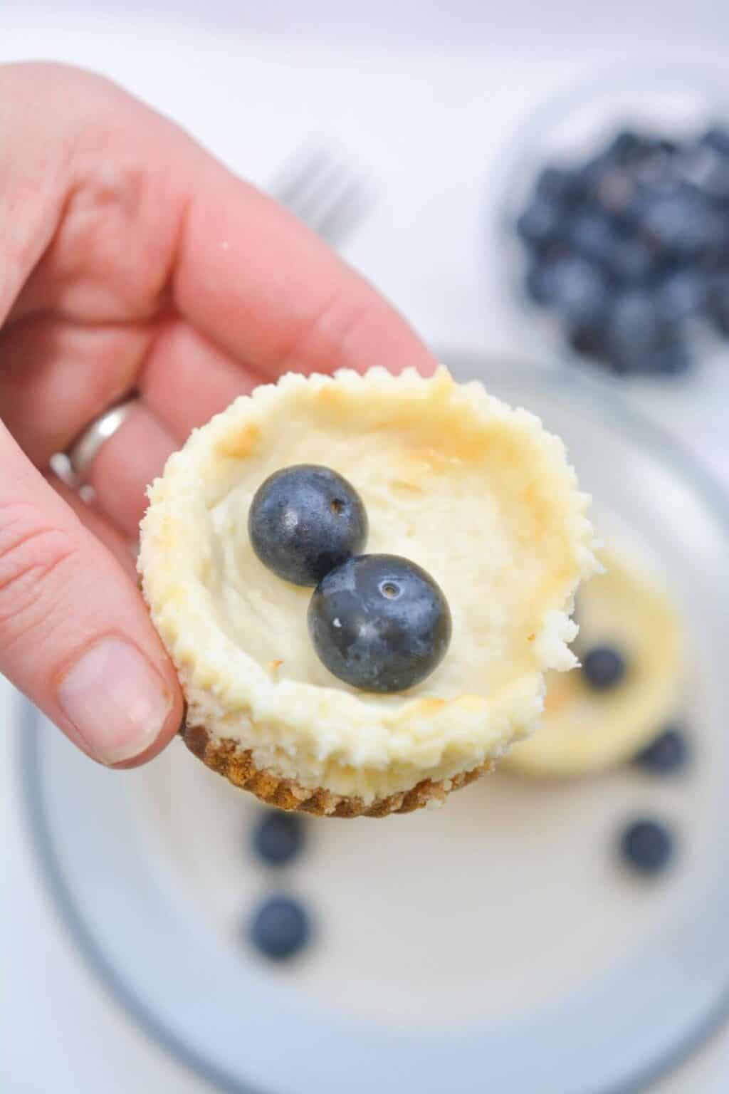 Baked Mini Vegan Cheesecake | Little Bit Recipes