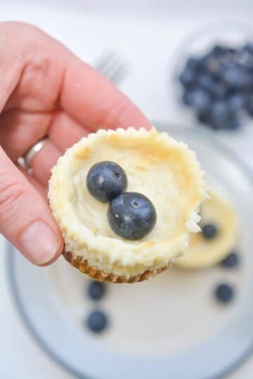 Baked Mini Vegan Cheesecake | Little Bit Recipes