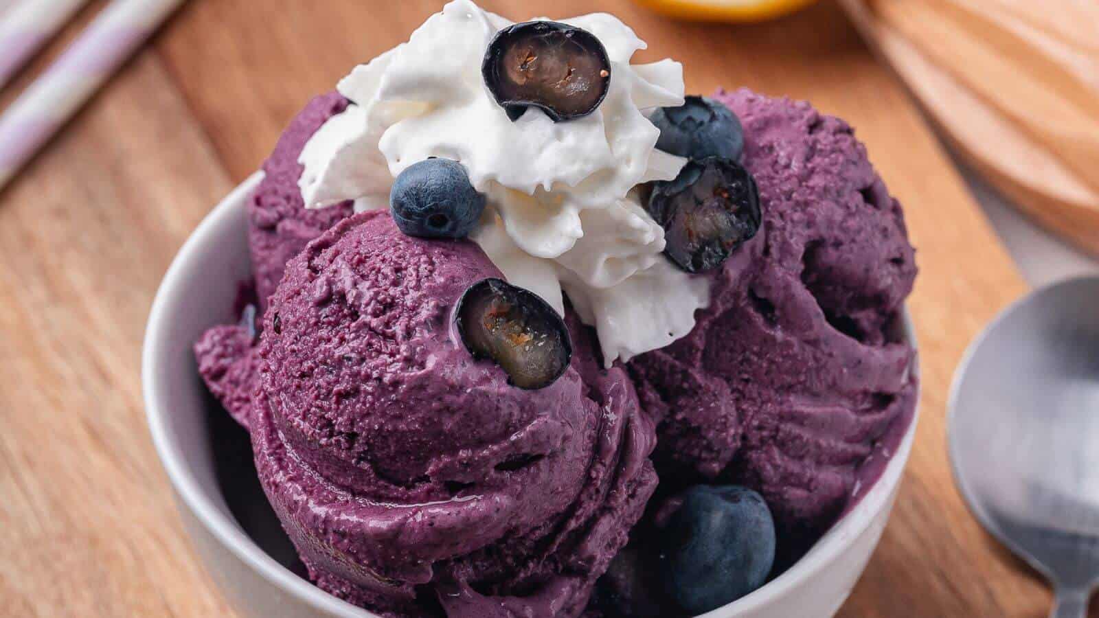 Blueberry Frozen Yogurt | Little Bit Recipes
