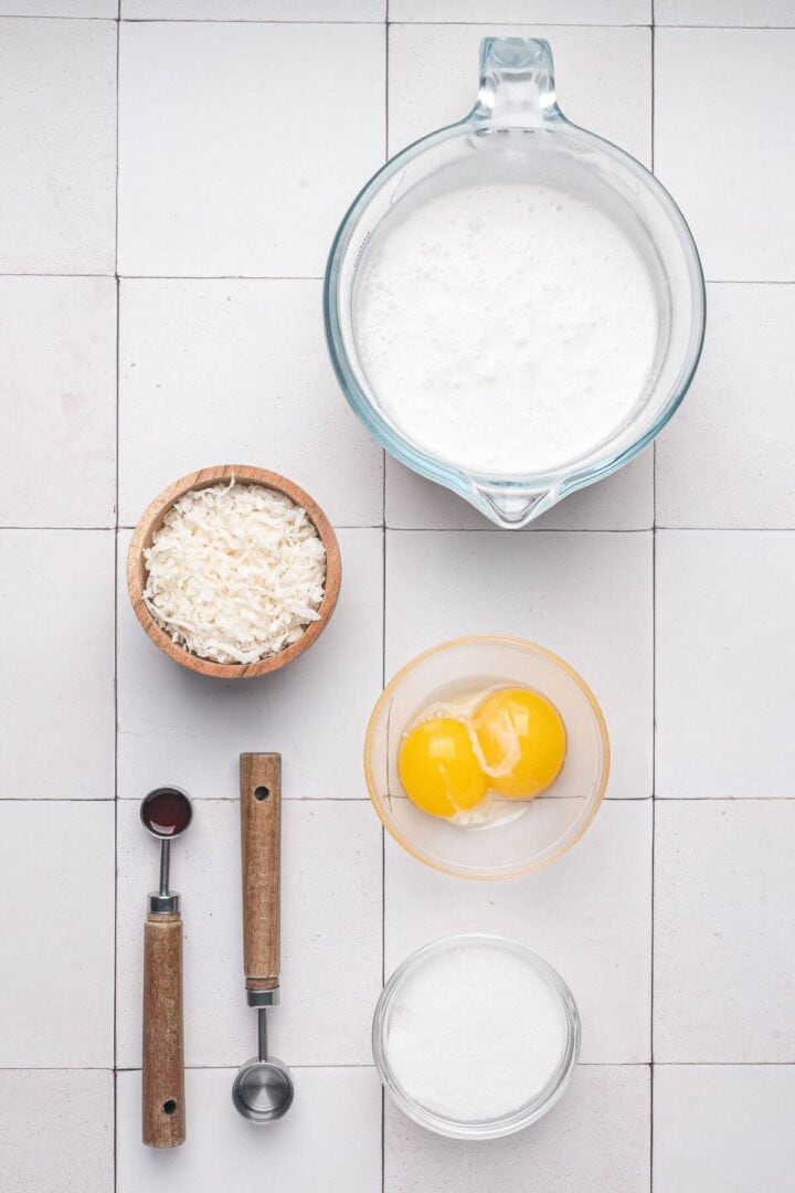 Creamy Coconut Ice Cream (Dairy-Free) | Little Bit Recipes